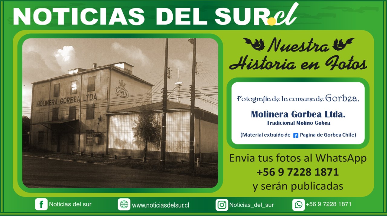 Gorbea, Molinera Gorbea Ltda - Noticias del Sur