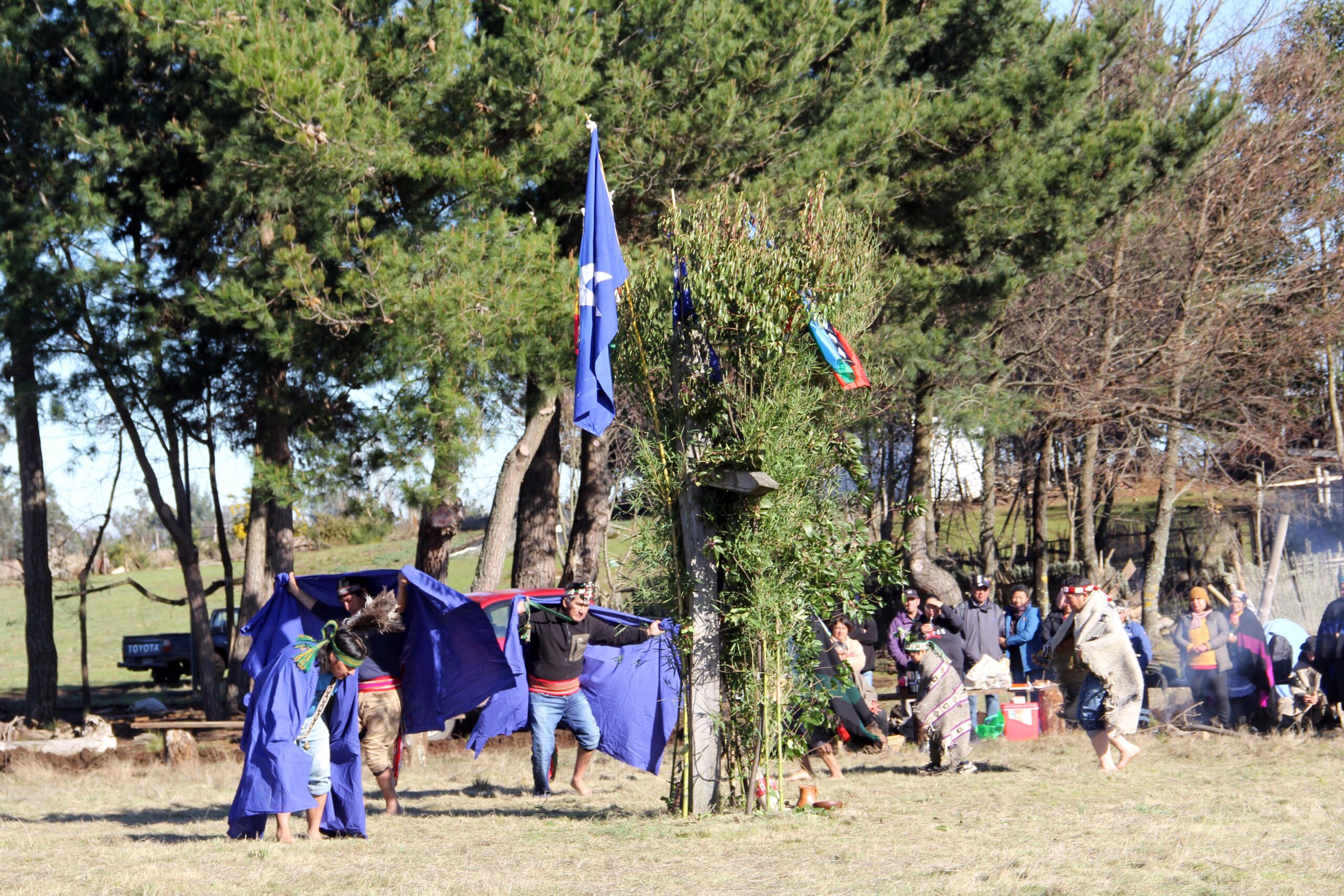 Comunidades mapuche de Lautaro recibieron aplicabilidad para la compra ...
